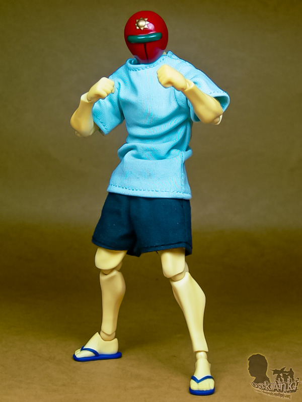 bakAnki: [FiguReview]Figma - Sunred